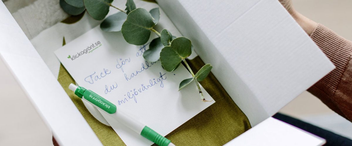 Compostable pens: The best eco-choice - IngliSweden